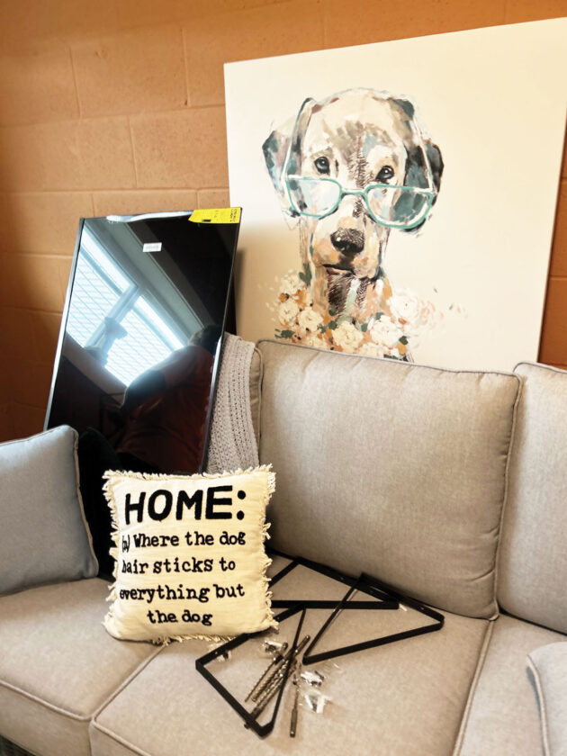 Humane Society of the Ohio Valley keeping domestic violence survivors ...